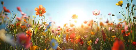 Transforming Indigenous Communities Through Digital Adaptation Ai