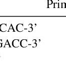 Primers Used For Sex Determination Of Bovine Embryos Download Table