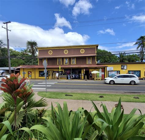North Shore Haleiwa Shuttle Semi Private Service 2026 Edition Wildlife Hawaii