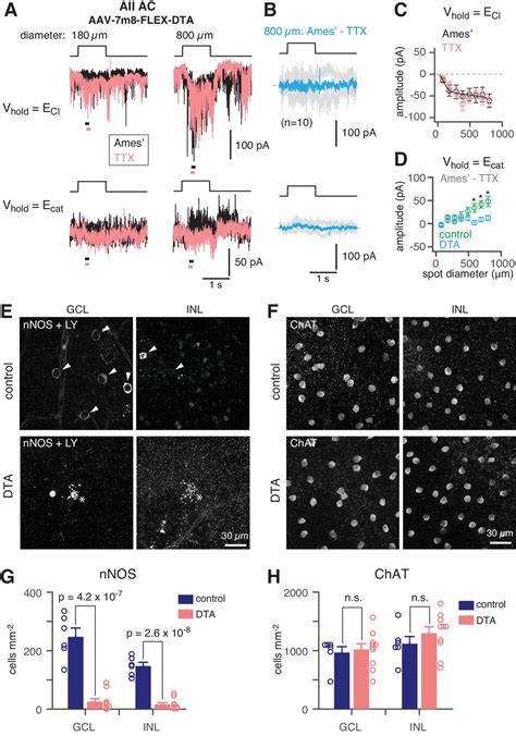 Figures And Data In Connectomic Analysis Reveals An Interneuron With An