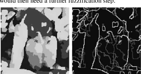 Figure 3 From A Fuzzy Watershed Based Algorithm For Protein Spot Detection In 2dge Images