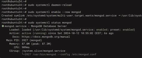 How To Install And Secure Mongodb On Ubuntu 2404