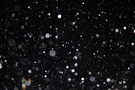 눈송이가 있는 반짝이는 밤하늘 · 무료 스톡 사진