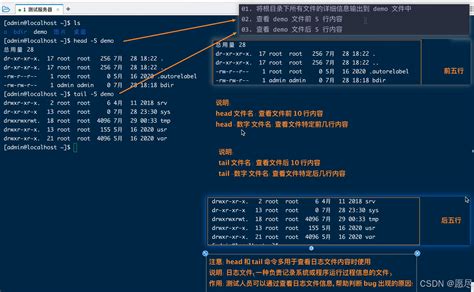 软件测试 Linux Csdn博客