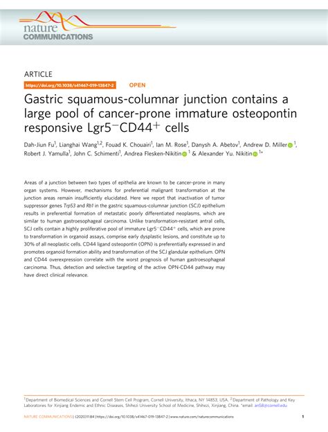 Pdf Gastric Squamous Columnar Junction Contains A Large Pool Of