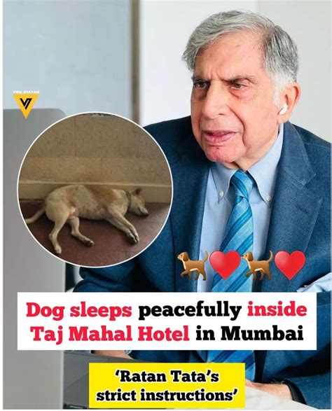 Shubhangi Singh On Linkedin Truly An Inspiration