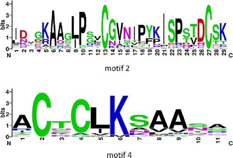 The Conserved Motif 2 And Motif 4 Of Lipid Transfer Protein Ltp