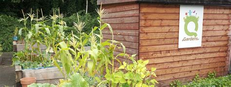 Corporate Responsibility Qurate Retail Cathi Kendrick Gba