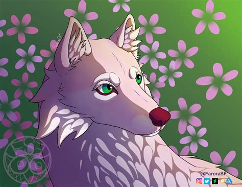 Sakura As A Wolf