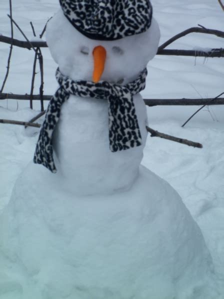 Зимнее оформление участка 31 фото Публикация 252083 Воспитателям детских садов школьным