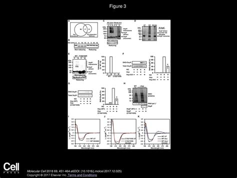 A Multiplex Enzymatic Machinery For Cellular Protein S Nitrosylation Ppt Download