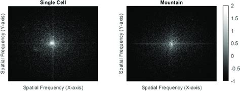 Logarithm Of Normalized Absolute Valued Frequency Spectrum Centered Download Scientific