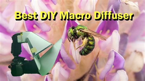 Diy Macro Diffuser At Betty Love Blog