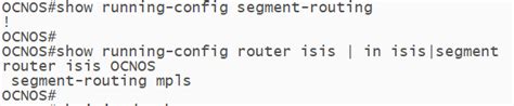 Segment Routing Sr Understanding The Why What And How Ip Infusion