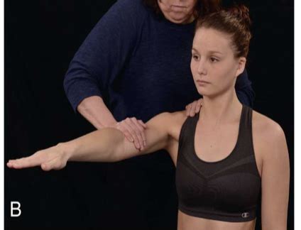 MMT Shoulder Elbow And Forearm Flashcards Quizlet