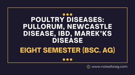Pullorum Newcastle Disease Ibd Poultry Diseases Best Ag