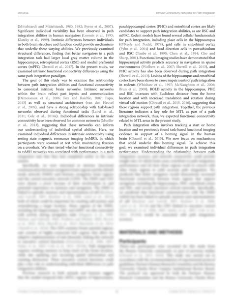 Solution Resting State Connectivity Between Medial Temporal Lobe Regions And Intrinsic Cortical