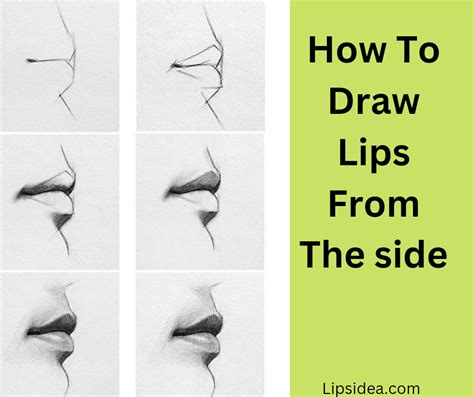 How To Draw Lips From The Side Lips Idea