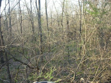 Which Predator Camo Pattern Archery Talk Forum