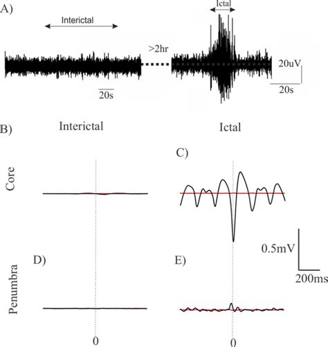 State Dependent Cross Correlations In Different Cortical Territories