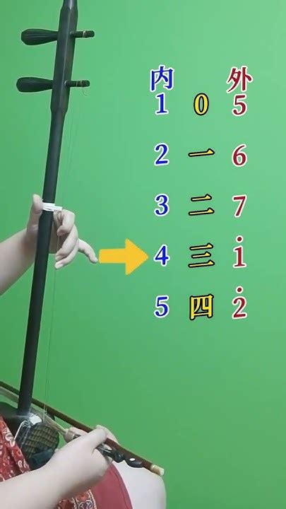 二胡教学 二胡网课 二胡入门 二胡演奏d调一把位指法详解 Youtube