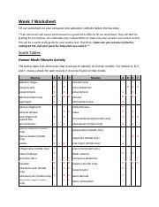 Week 7 Worksheet Pdf Week 7 Worksheet Fill Out Worksheet On Your Computer And Upload To CANVAS