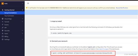 使用ngrok实现项目本地部署公网访问(内网穿透)公网 Ngrok Csdn博客 使用ngrok实现项目本地部署公网访问(内网穿透)公网 Ngrok Csdn博客
