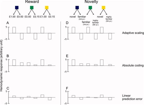 Parametric Modulation In Both Fmri Experiments Hemodynamic Responses Download Scientific