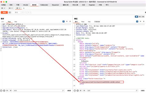 Xctf Ezbypass Cat(华夏erp,信息泄露,目录遍历) 知乎 Xctf Ezbypass Cat(华夏erp,信息泄露,目录遍历) 知乎