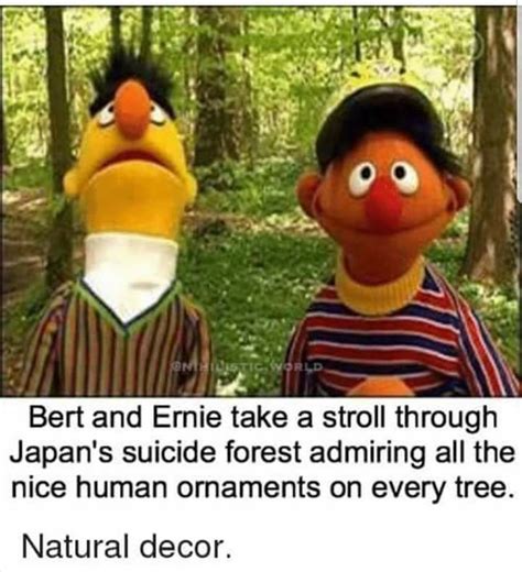 Bert And Ernie Fruit Hat Meme Bert And Ernie Funny Sesame Street