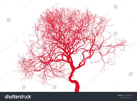 Naked Tree Silhouette On White Background เวกเตอรสตอก ปลอดคาลขสทธ