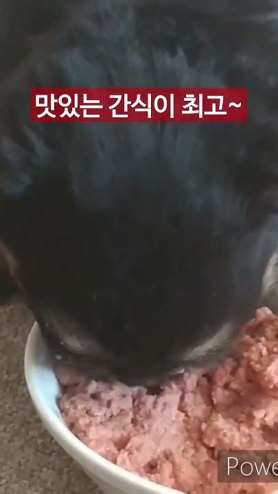 맛있는 간식이 최고~ Youtube