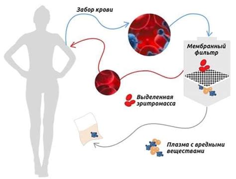 🏥ЦУС ШҮҮХ ПЛАЗМАФЕРЕЗ ЭМЧИЛГЭЭ 🗣 Энхдөлгөөн Эмнэлэг