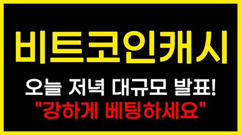 긴급속보 비트코인캐시 오늘 저녁 대규모 발표강하게 베팅하세요 비트코인캐시 비트코인캐시전망 비트코인캐시호재 비트