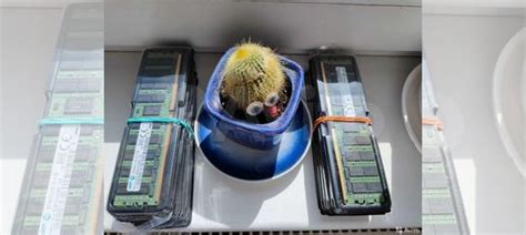 Серверная Ddr4 Ecc Reg 8 16 32 Gb купить в Москве Электроника Авито