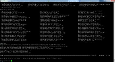 How To Install Litespeed Web Server On Centos 7