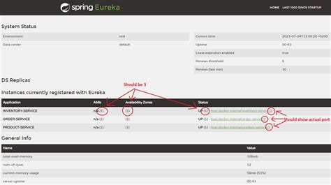 Spring Boot Eureka Server Doesnt Discover Multiple Instances Of The