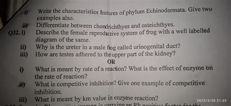 I Write The Characteristics Features Of Phylum Echinodermata Give Two E