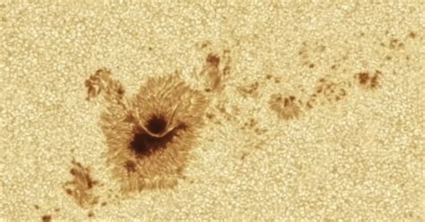Nasa Apod Winning Solar Post Processing Sunspot With Light Bridge Telescope Live