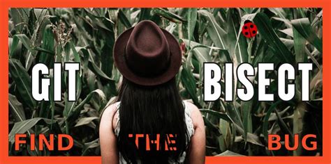 Kopias Csaba On Linkedin How To Git Bisect Finding The Bug Introducing Commit