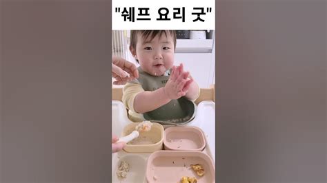 아기와 강아지를 함께 키우면 일어나는 일 귀여운 아기 강아지 Youtube