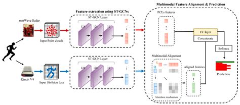 mtgea a multimodal two stream gnn framework for efficient point cloud and skeleton data alignment