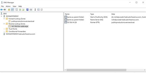 Dns Locally Hosted Website With Iis Cannot Be Read On Browser Err