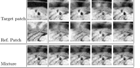 Mixture Image And Separation Of Mixture On Patch Level Separation