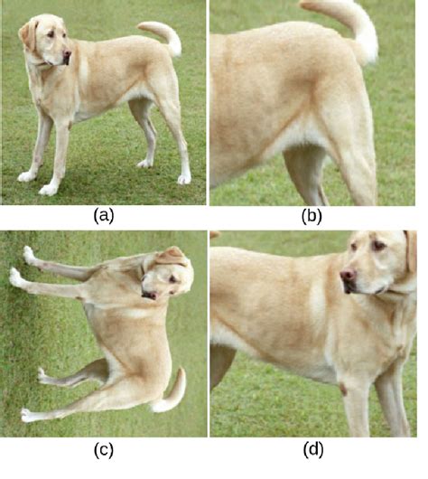 Figure 5 From Survey On Self Supervised Multimodal Representation Learning And Foundation Models