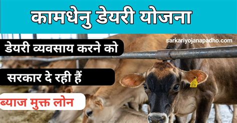 Rajasthan Kamdhenu Dairy Yojana Apply Online कामधेनु डेयरी योजना