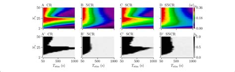 Acute And Long Lasting Effects Of Stimulation For Different