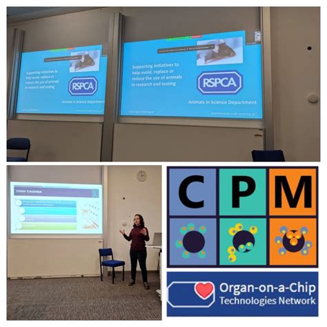 Qmul Translationalresearch Organonchip Invitro Drugdevelopment