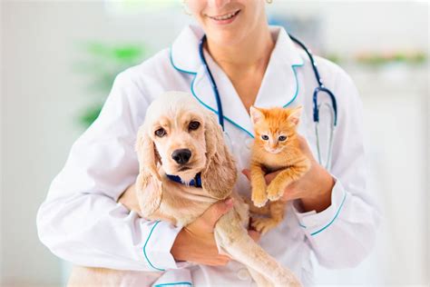 New Clients Concord Veterinary Clinic