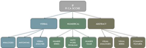 Pi Cognitive Assessment™ • Humanostics